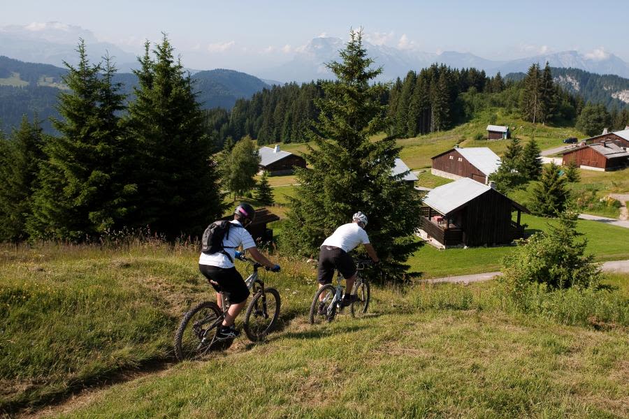 Les Gets Mountain Biking and Bike Park | MTB Les Gets
